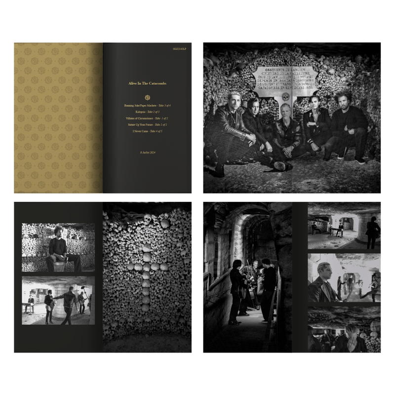 Alive in the Catacombs LP – Deluxe Edition - Queens of the Stone Age ...